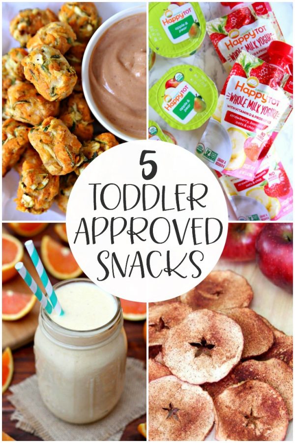 5 Toddler Approved Snacks Your Toddler will want to eat!